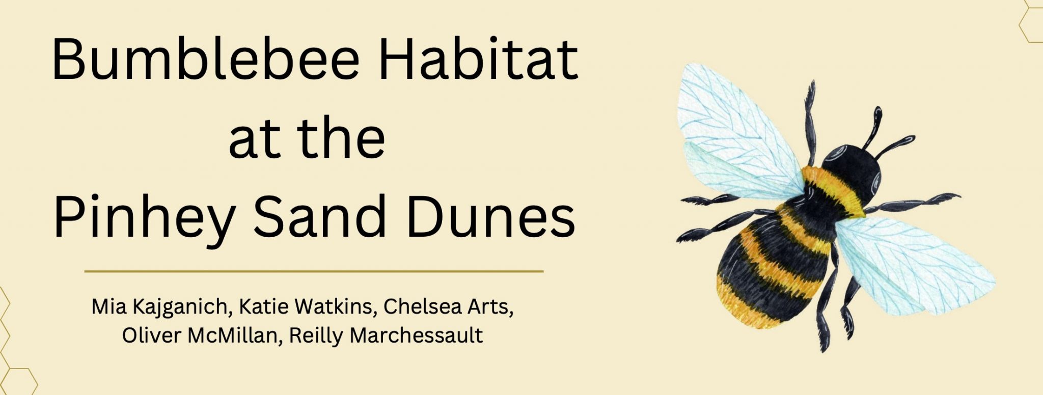 Friends of Pinhey Sand Dunes Newsletter: January 2025 - Biodiversity ...