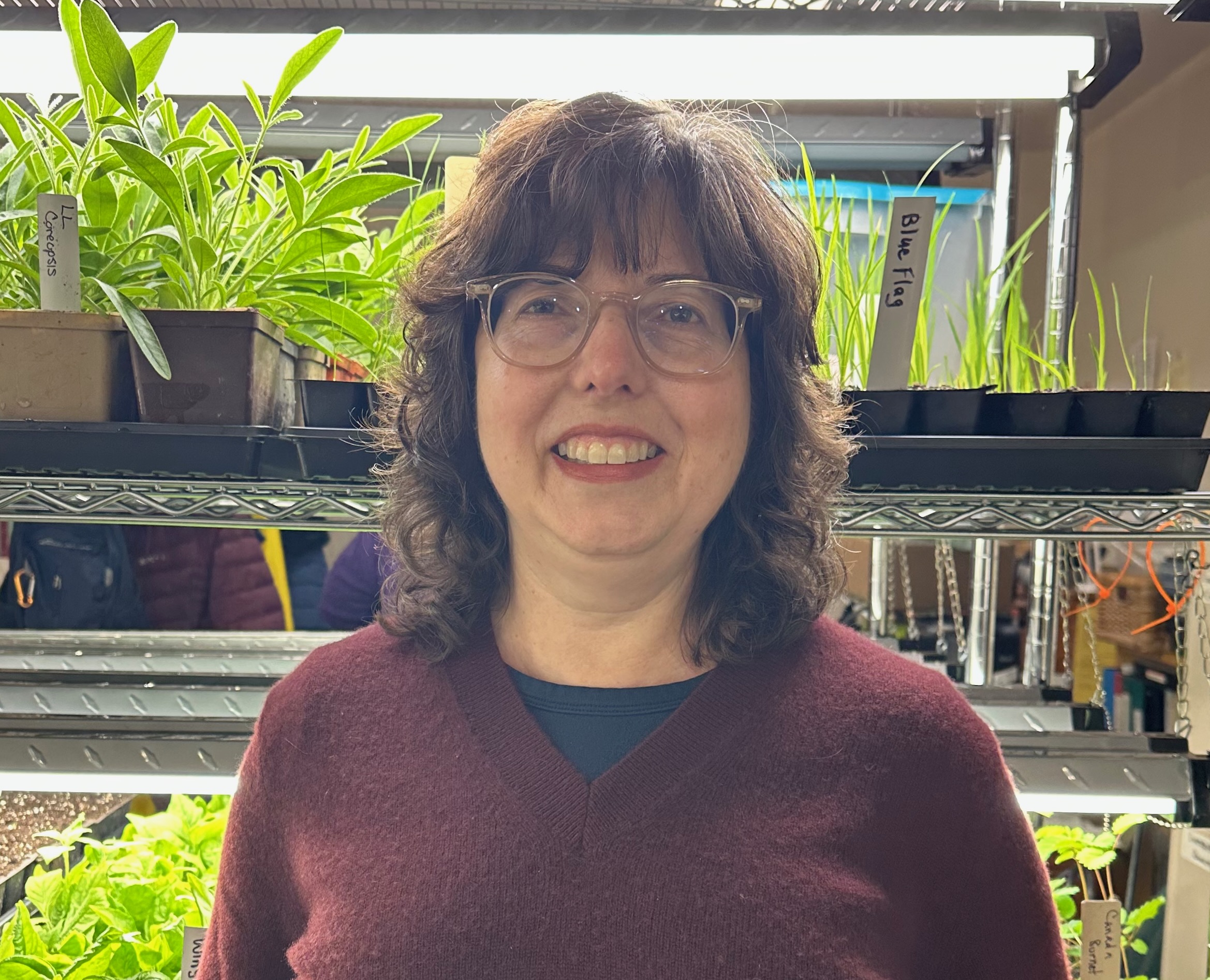 Friends of Pinhey Sand Dunes Newsletter: April 2026 - Biodiversity ...